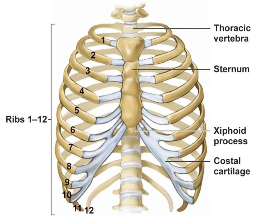 Rib Cartilage Injury Masnad Health Clinic